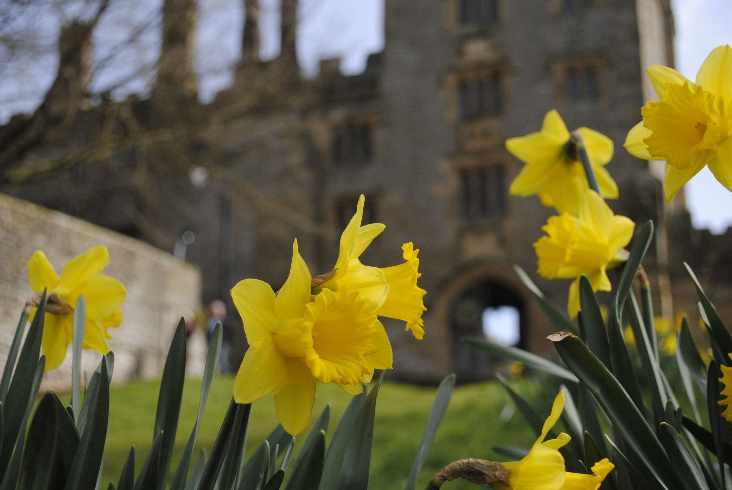 Haddon Hall - Haddon Hall 2020: Why Visit