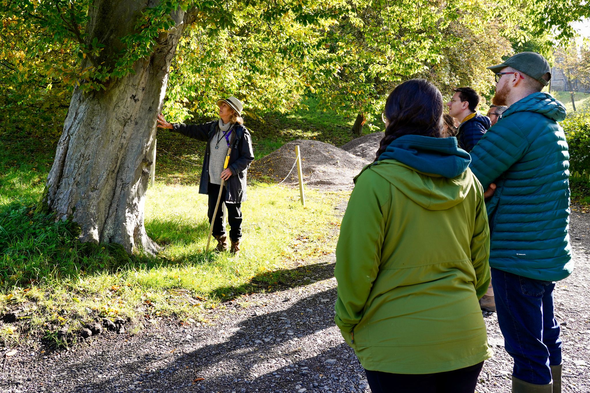 Haddon Hall - Wildlife Walk: The Trees of Haddon Medieval Park
