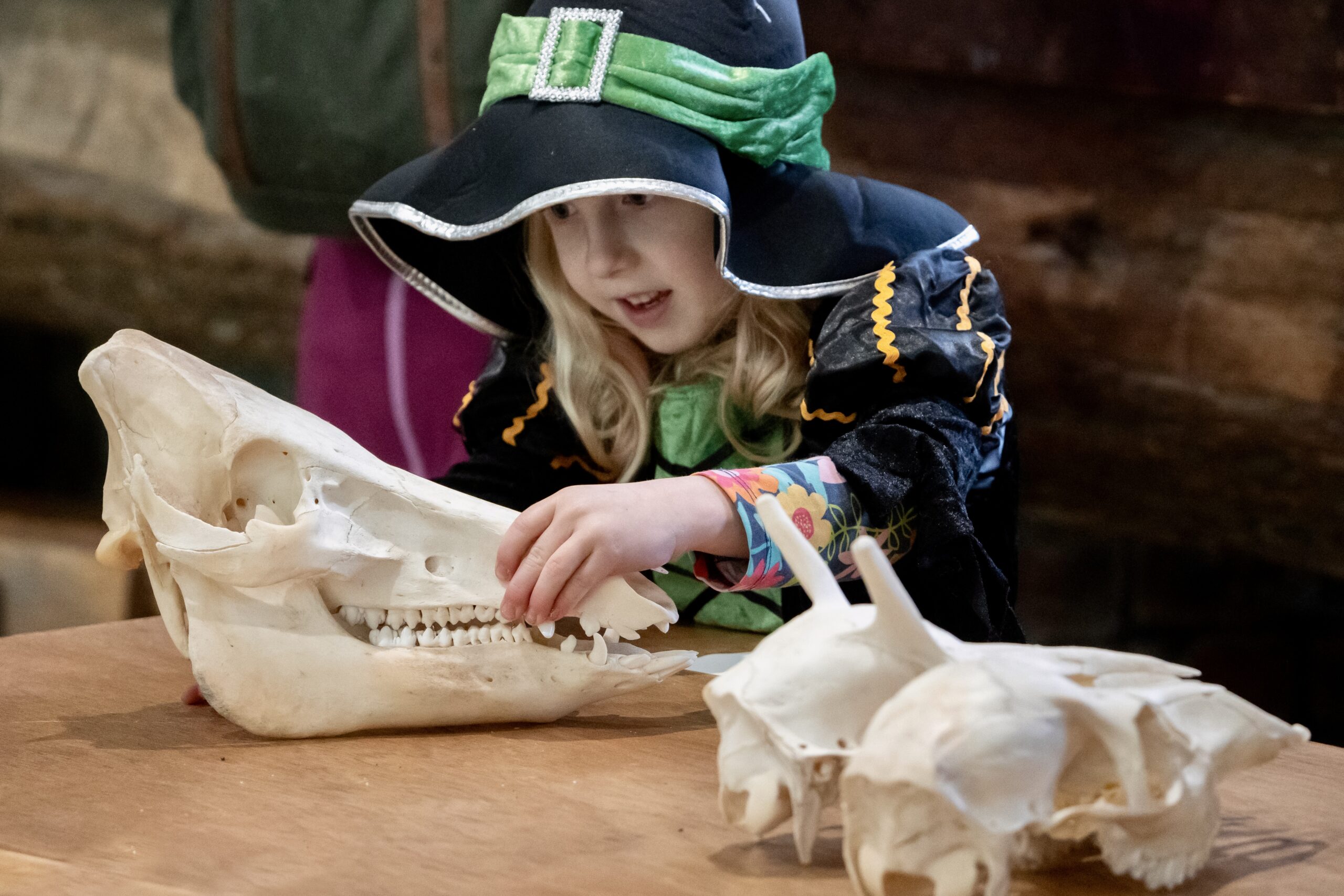 Haddon Hall - Little School of Ecology at Halloween – Haddon Hall