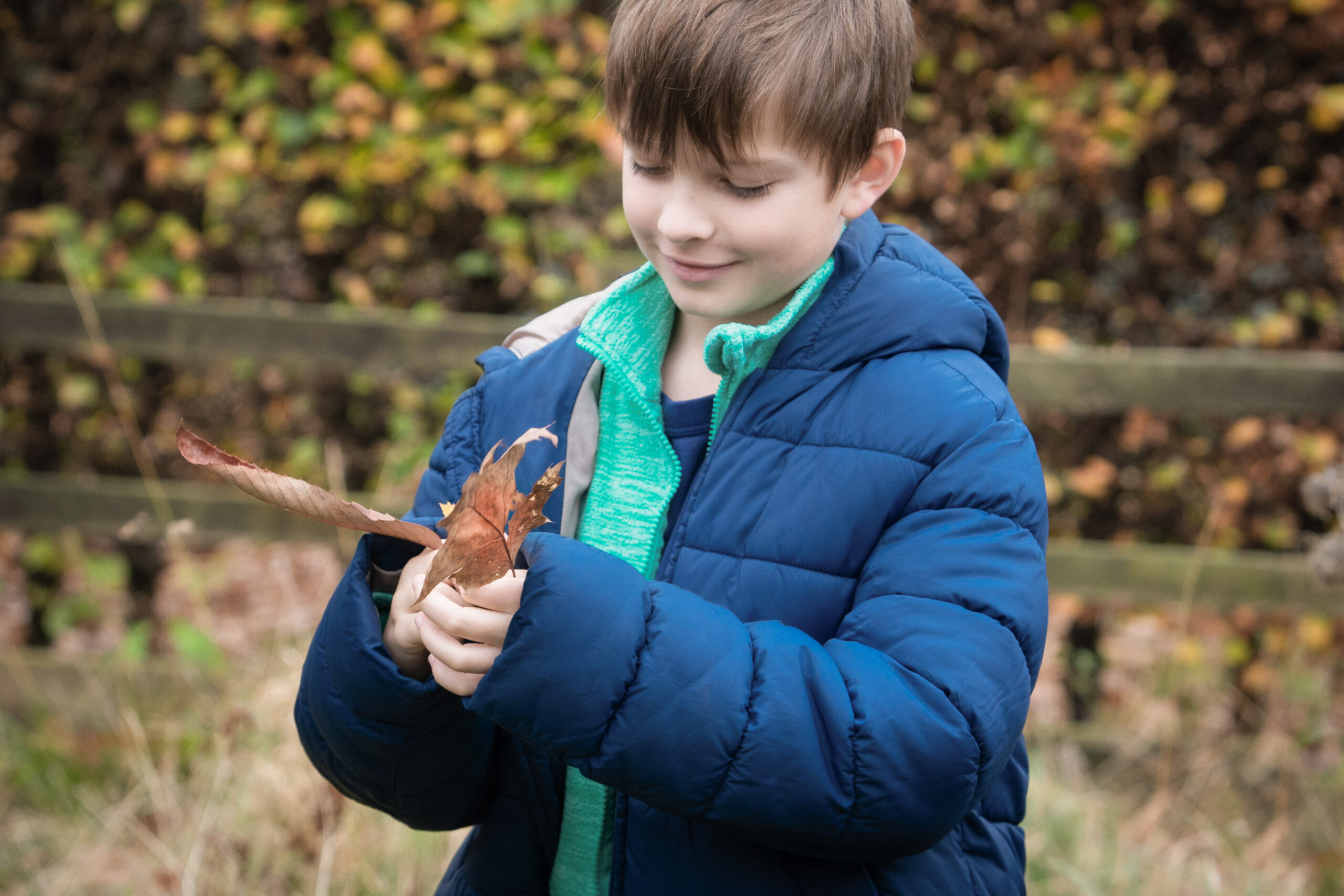 Haddon Hall - The Little School of Ecology in Haddon Medieval Park